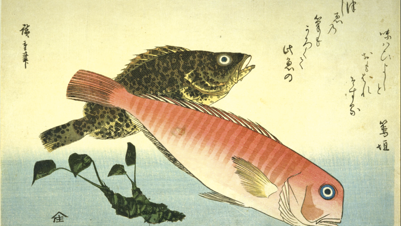 日本の歴史と本わさびの変遷 | わさ研 | 【公式】わさラボ | 知ってるようで知らないわさびのフシギ